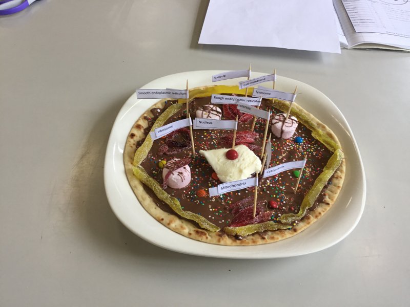 Year 7/8 Pizza Cell creations – Central Yorke School