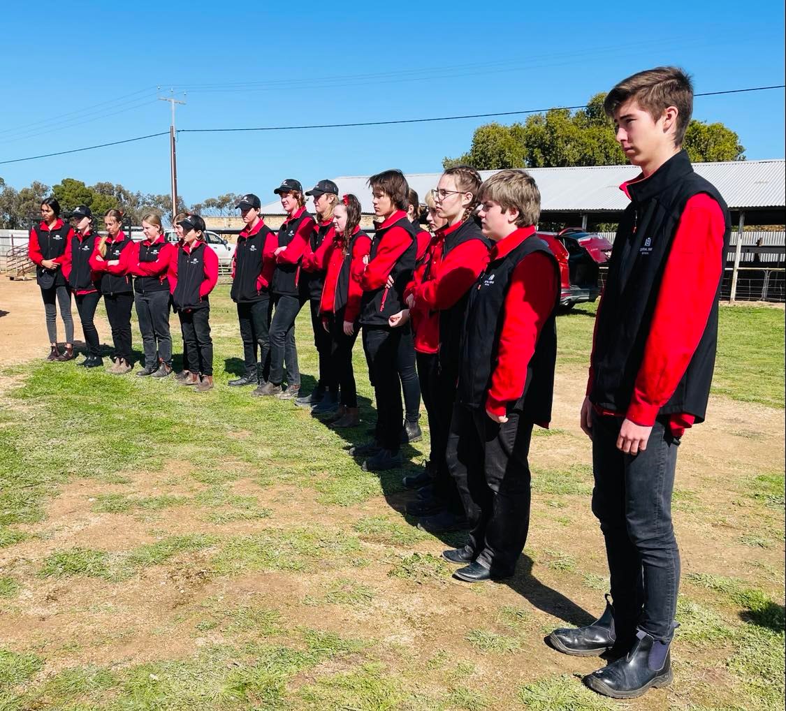 Kadina Show 2022 | Led Steers – Central Yorke School